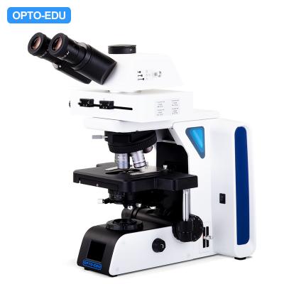 China OPTO-EDU A16.2610 Trinocular 1000X Ultra LED Fluorescent Microscope for sale