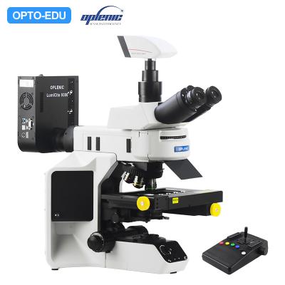 China Opto Edu A16.2255 Laboratory Fluorescent Microscope Fully Motorized UV B G BX53 CX43 Level for sale