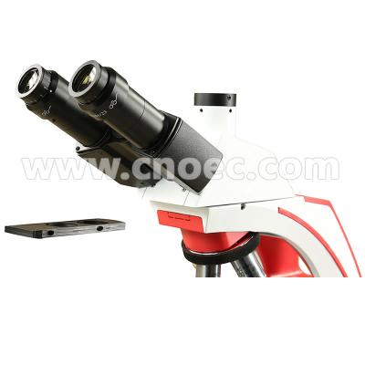 China Microscopios ópticos A12.0810 de la iluminación del halógeno del microscopio del compuesto del alto contraste en venta