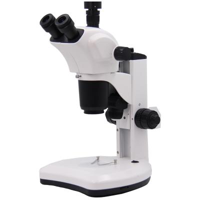 China Trinocular 0.7x - microscopio óptico estéreo A23.0203 del enfoque del soporte de la pista 6.3x en venta