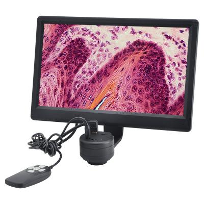 Cina 1/2.8" macchina fotografica 12,5» 1080p HDMI 2.0M A59.4950 del microscopio dell'affissione a cristalli liquidi Digital di Sony CMOS in vendita