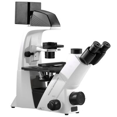 Chine A16.2605 BGUV inversé dioptrie du microscope de fluorescence WF10X/22mm réglable à vendre