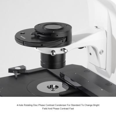 Chine A16.2605 BGUV inversé dioptrie du microscope de fluorescence WF10X/22mm réglable à vendre