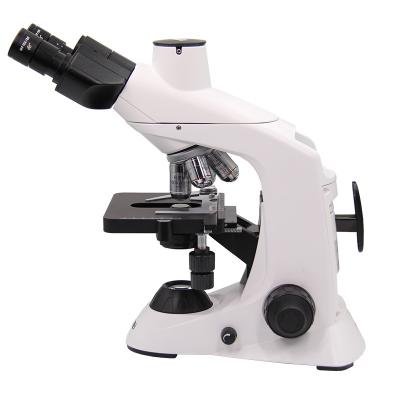 China Opto-EDU a12.6603-t Biologische Hoge Precisie van de Samenstellings de Optische Microscoop Te koop