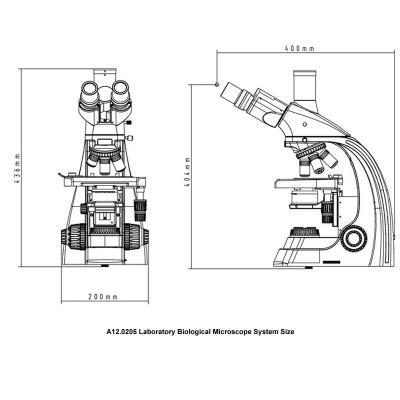 Chine le microscope optique A12.0205 Trinocular du composé 1000x a mené la source lumineuse à vendre