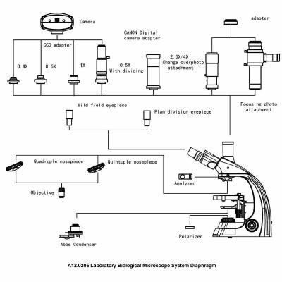 Chine le microscope optique A12.0205 Trinocular du composé 1000x a mené la source lumineuse à vendre