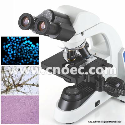 Cina Microscopi ottici binoculari A12.0909 di illuminazione del microscopio LED della compensazione in vendita