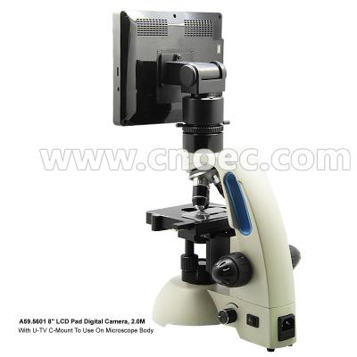 Cina 8' accessori LCD A59.5601 del microscopio della macchina fotografica dell'oculare di Digital in vendita