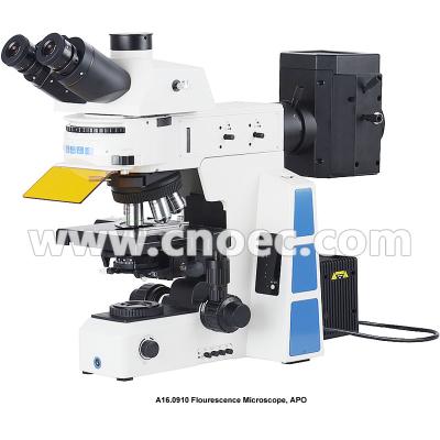 China Optische de Fluorescentiemicroscoop van de Trinocularoneindigheid met Halogeenlamp Te koop