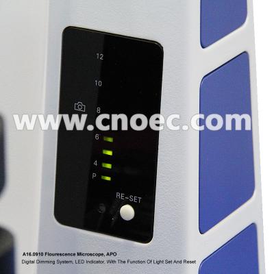 China Optische de Fluorescentiemicroscoop van de Trinocularoneindigheid met Halogeenlamp Te koop