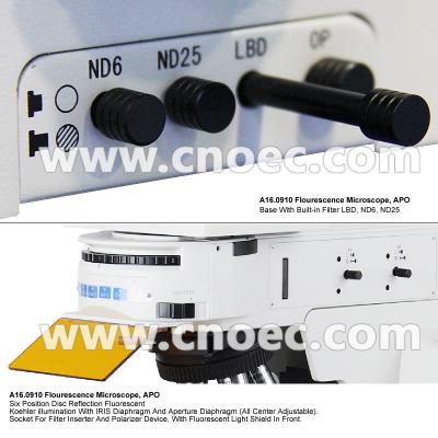 China Optische de Fluorescentiemicroscoop van de Trinocularoneindigheid met Halogeenlamp Te koop