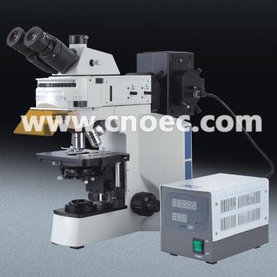 Chine Microscope de fluorescence d'APO de laboratoire avec la tête de Digital, appareil-photo A16.0909 de 5.0M à vendre