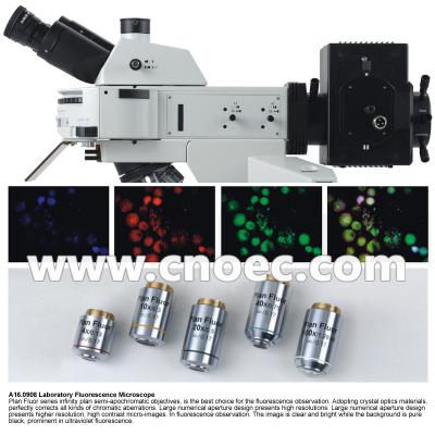 Chine Microscope de fluorescence d'APO de laboratoire avec la tête de Digital, appareil-photo A16.0909 de 5.0M à vendre