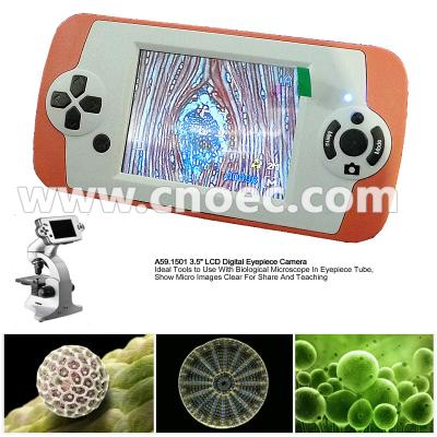 Cina 3,5" macchina fotografica LCD dell'oculare degli accessori del microscopio di Digital, A59.1501 in vendita