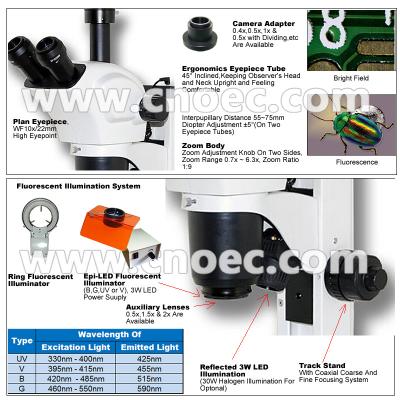 China Trinocular 0.7x - microscopio óptico estéreo A23.0203 del enfoque del soporte de la pista 6.3x en venta