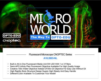 Cina Illuminazione dell'alogeno A16.2603-NL Koehler di microscopia di luce fluorescente del LED 6V 30W in vendita