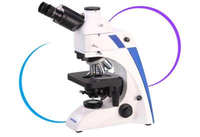 Cina Illuminazione dell'alogeno A16.2603-NL Koehler di microscopia di luce fluorescente del LED 6V 30W in vendita