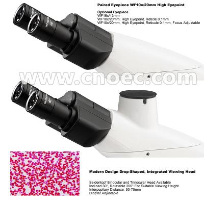 Cina L'infinito E - progetti il microscopio ottico A12.6603 del composto asferico dell'illuminazione in vendita