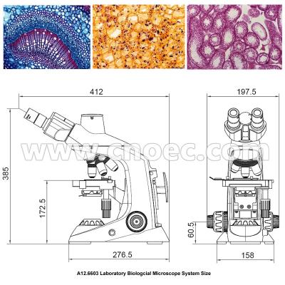 Cina L'infinito E - progetti il microscopio ottico A12.6603 del composto asferico dell'illuminazione in vendita
