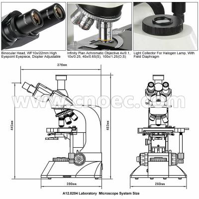 Cina Microscopio ottico di polarizzazione senza cordone Trinocular A12.0204 del composto di WF10X in vendita