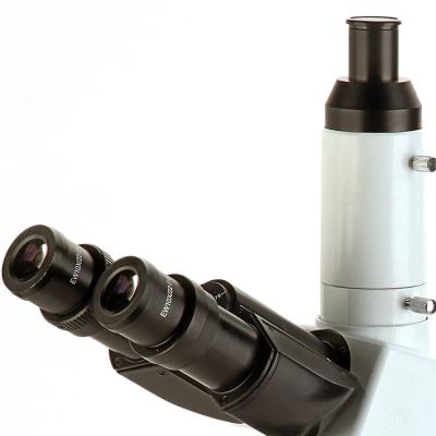 China Laboratorio del microscopio biológico de A12.1018 OPTO-EDU Trinocular en venta