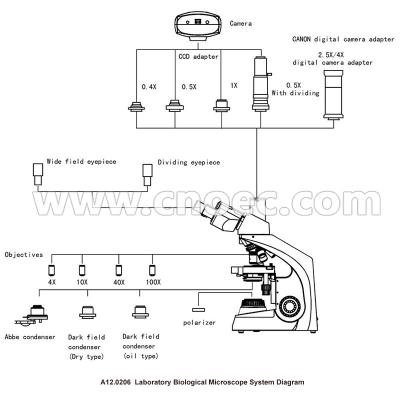 Китай CE A12.0206 микроскопа СИД лаборатории Trinocular безграничности биологического микроскопа Semi-Плана продается