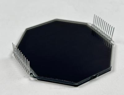 China Pantalla LCD HTN de matriz personalizada de ocho formas monocromática de 7 segmentos de pantalla LCD gráfica para instrumentos de motocicletas en venta