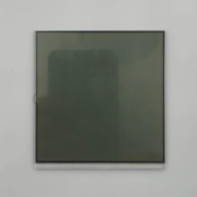 8 Digit TN Segmented LCD Display with Zebra Connector for Medical Devices