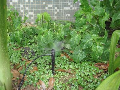 Κίνα Ray/Centrifugal Inserted Link Sprinkler for Consistent Farm Irrigation in Garden προς πώληση