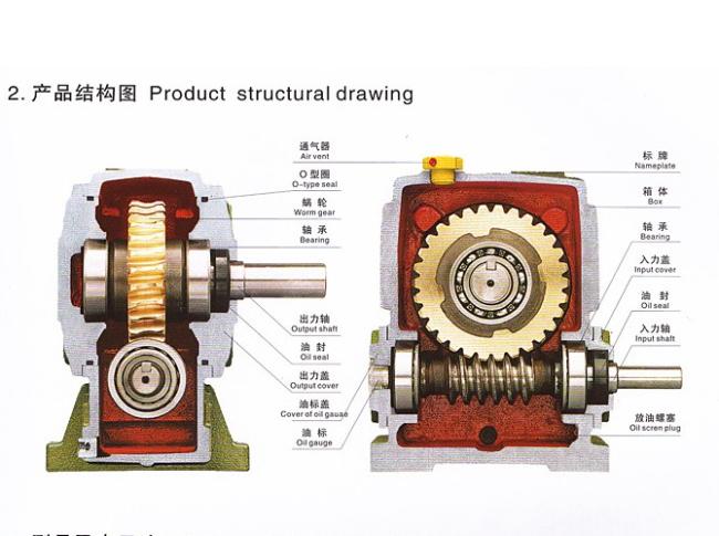 Detailed structural drawing of worm gear reducer with measurements