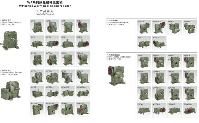 WP series worm gear reducer overview showing complete unit