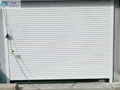 Chine portes électriques en aluminium de volet de rouleau de 0.8mm pour le garage à vendre
