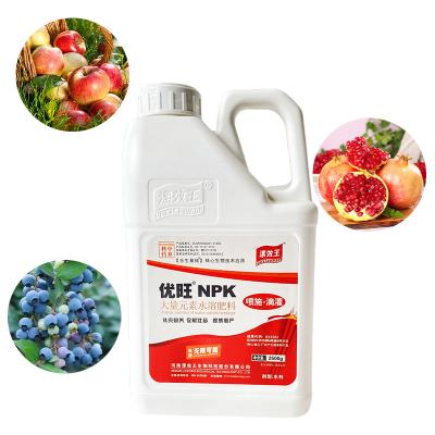 Cina Fertilizzante composto NPK idrosolubile e bilanciato 19-19-19 con oligoelementi in vendita