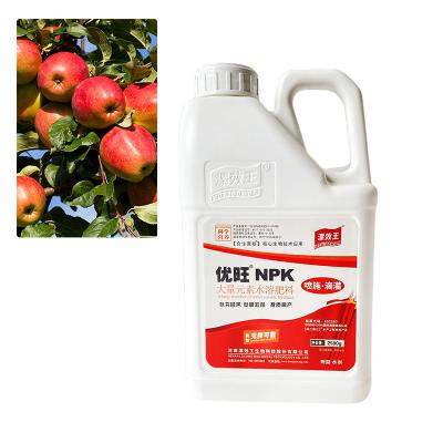 Cina Fertilizzante idrosolubile organico al 100% OEM ODM 19-19-19+Te NPK Fertilizzante in vendita