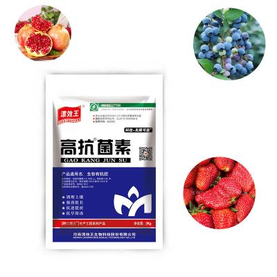 China Langsam freigesetzter Mischdünger Pflanzennahrungsmittel Huminsäure Granulate für NPK Harnstoffmischdünger zu verkaufen