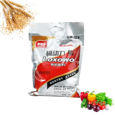 Cina Estratto di alghe di mare Fertilizzanti ad alta efficienza favoriscono la crescita di frutta e semi sani in vendita