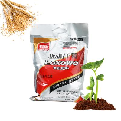 Cina Fertilizzante stimolante biologico delle radici per la crescita delle piante in vendita