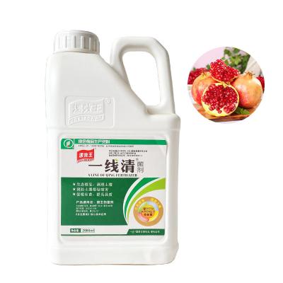 Cina Fertilizzante organico idrosolubile granulare in vendita