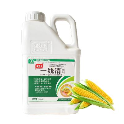 Cina 35-60% Conditioner organico del suolo Fertilizzante Agricoltura Acido umico Granulare in vendita
