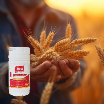 China Hydroponics Water Soluble Organic Vegetable Fertilizer With Advanced Nutrients en venta