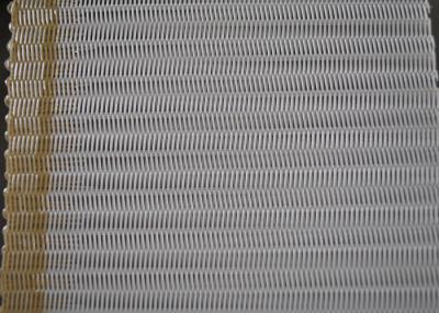 Cina cinghia di disidratazione dei fanghi del poliestere di fabbricazione della carta in vendita