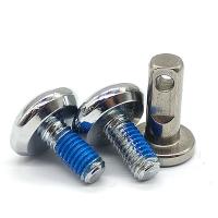 Quality Non Standard Custom Metal Parts 302 304 316 Stainless Steel Screw for sale