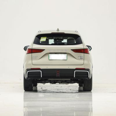중국 GWM 하발 샤오롱 맥스 중국 전기 SUV 플러그인 7 좌석 PHEV 판매용