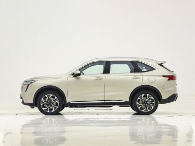 중국 GWM 하발 샤오롱 맥스 중국 전기 SUV 플러그인 7 좌석 PHEV 판매용