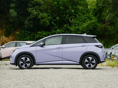 China 2025 BYD Dolphin, EV-Reichweite erhöht auf 520KM, Konfiguration aktualisiert, Preis unverändert zu verkaufen