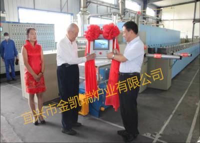 China El tablero doble del empuje calcinó los hornos del empujador para el material ternario del litio del ácido del manganeso en venta