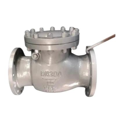 Cina Supporto ODM Multi Single Disc Door Flanged Swing Type Check Valve Drain Valve Certificato CE in vendita