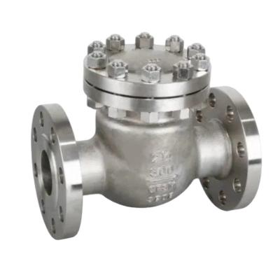 Cina Servizio personalizzato Multi Single Disc Door Flanged Swing Tipo Valvola di controllo Valvola di scarico in vendita