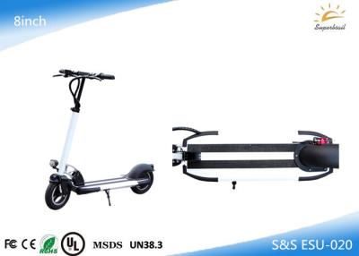 Cina 350W 10