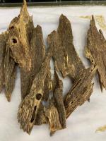 Quality 150g Hainan Wild Agarwood Aloeswood Natural Scraped Black Oil Bulk Spices Insect Authentic for sale